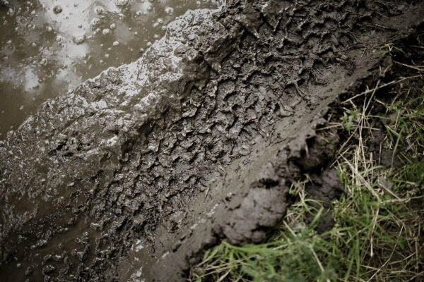 Why do you need mud tyres on your next trip | BFGOODRICH AU