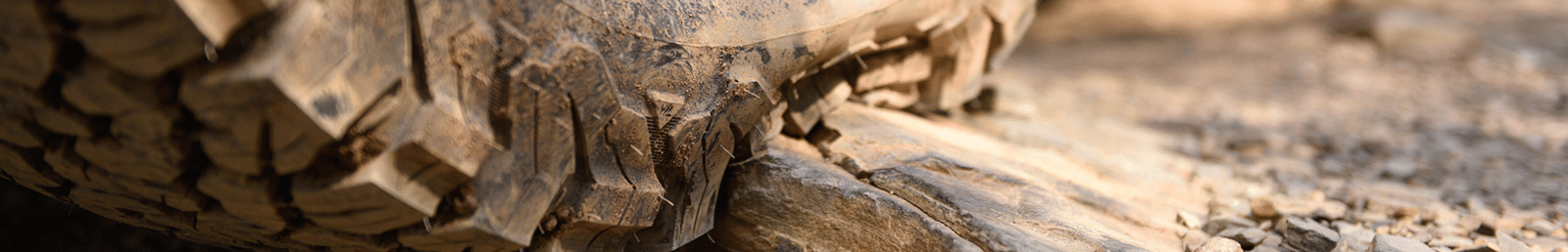 Browse all Car Tire Sizes Available | BFGoodrich Canada