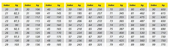 Check Out Our Tyre Speed Index & Load Index | Michelin