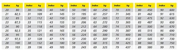 Check Out Our Tyre Speed Index & Load Index | Michelin