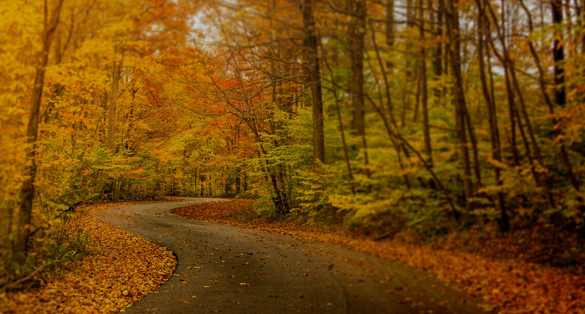 Michelin Acoustic Technology Tires | Michelin