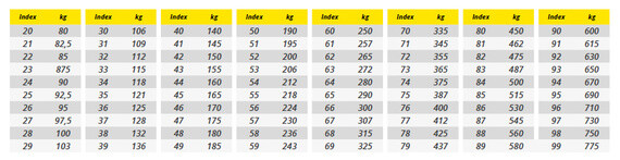 Motorcycle tire speed rating and load rating | MICHELIN