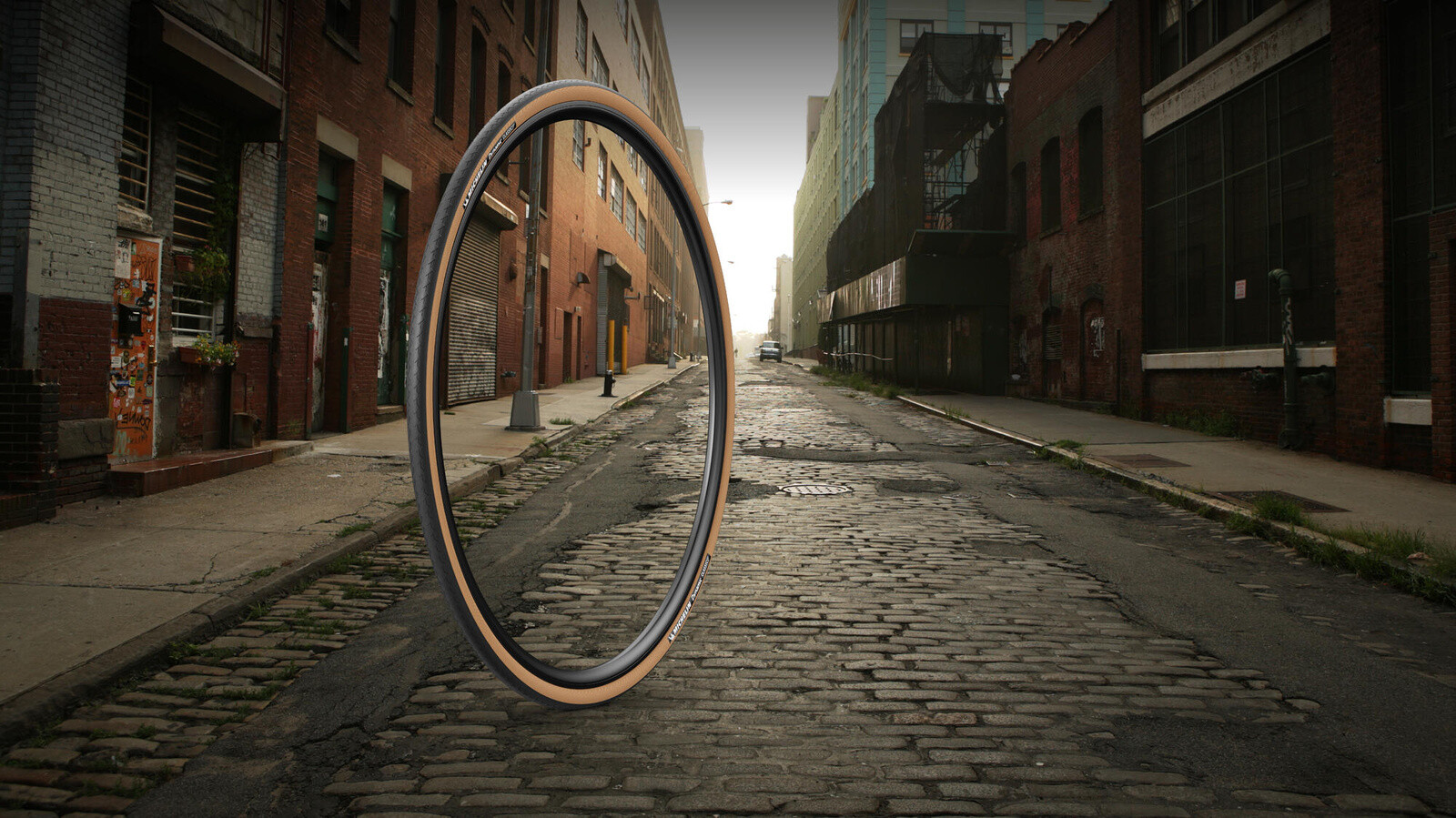 Dynamic Classic – Cycling Spot