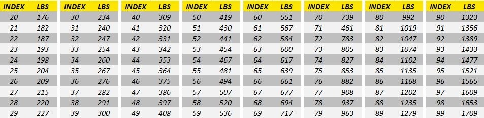 Check Out Our Tire Speed Index & Load Index | Michelin